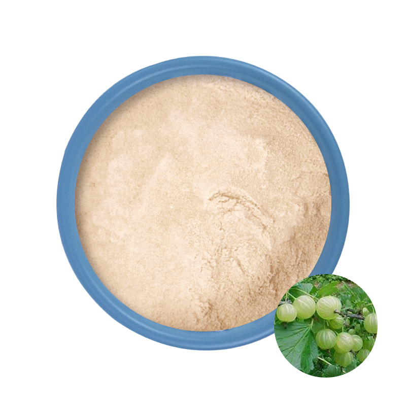 Amla Fruit Powder - YanggeBiotech