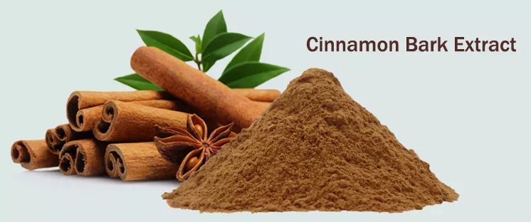 Cinnamon Bark Extract Powder - YanggeBiotech