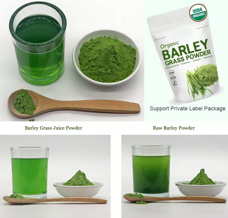 buy barley grass extract - YanggeBiotech
