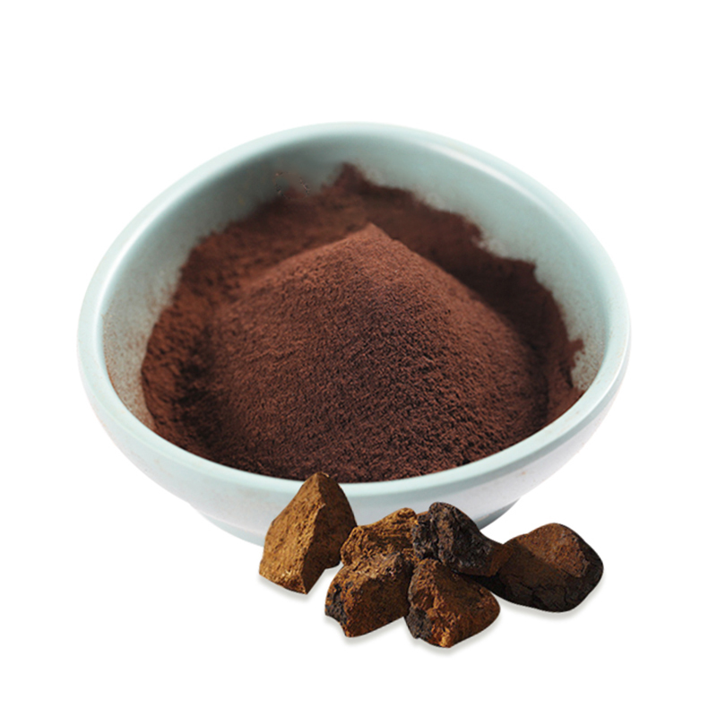 Organic Chaga Mushroom Powder - YanggeBiotech